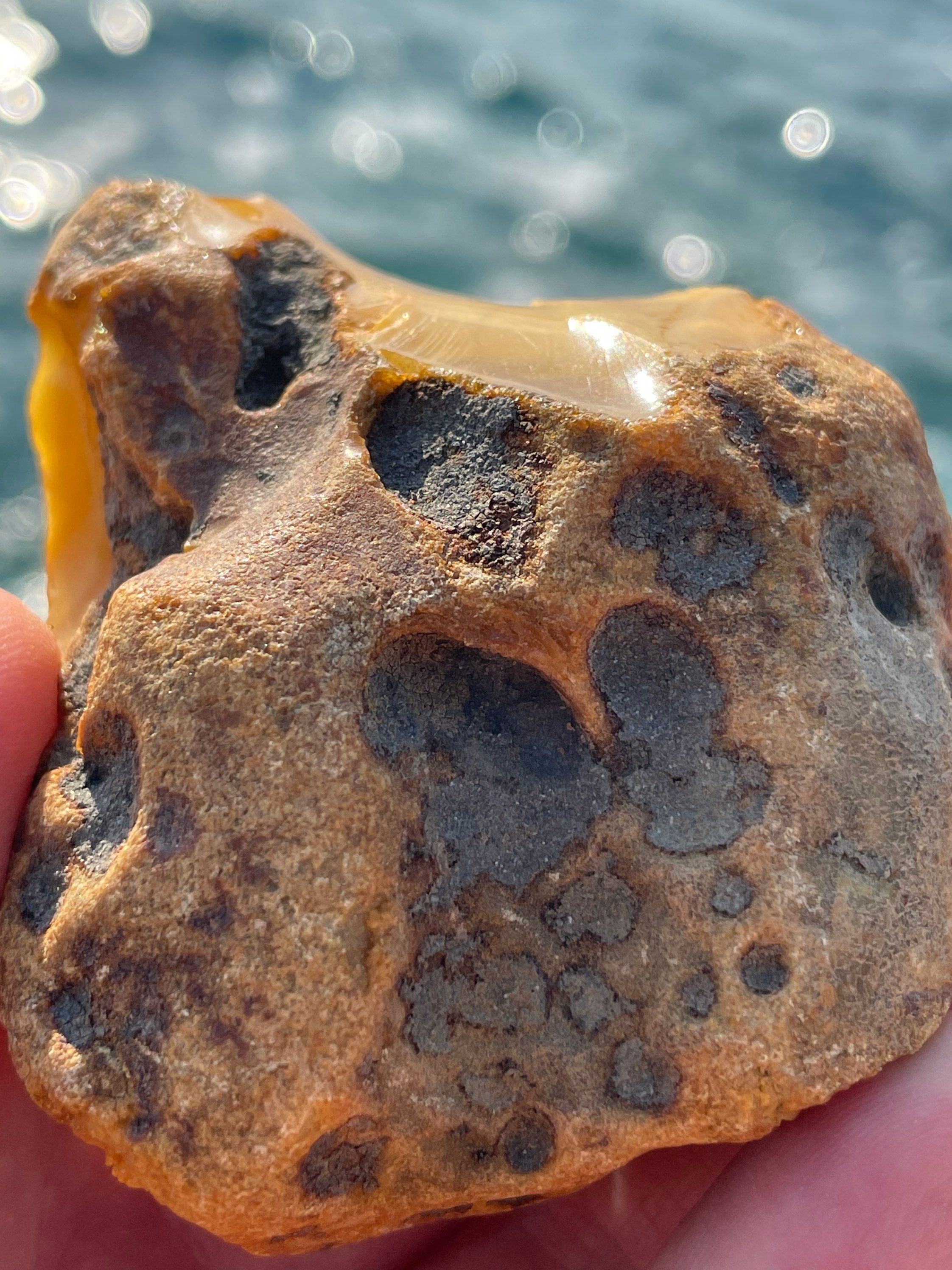 Huge Raw White Amber LARGE Raw Amber 52 G Unique Amber - Etsy