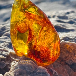 Stunning Natural Honey Amber With Fossil Inclusions, Natural Baltic ...