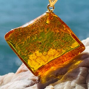 Rare Amber Pendant With Fossil Fly ,sparkling Amber Pendant With ...