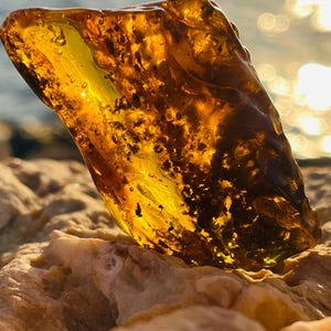 Large Amber With Fossil Inclusions and 1000 Bubbles ,vintage Raw Amber ...