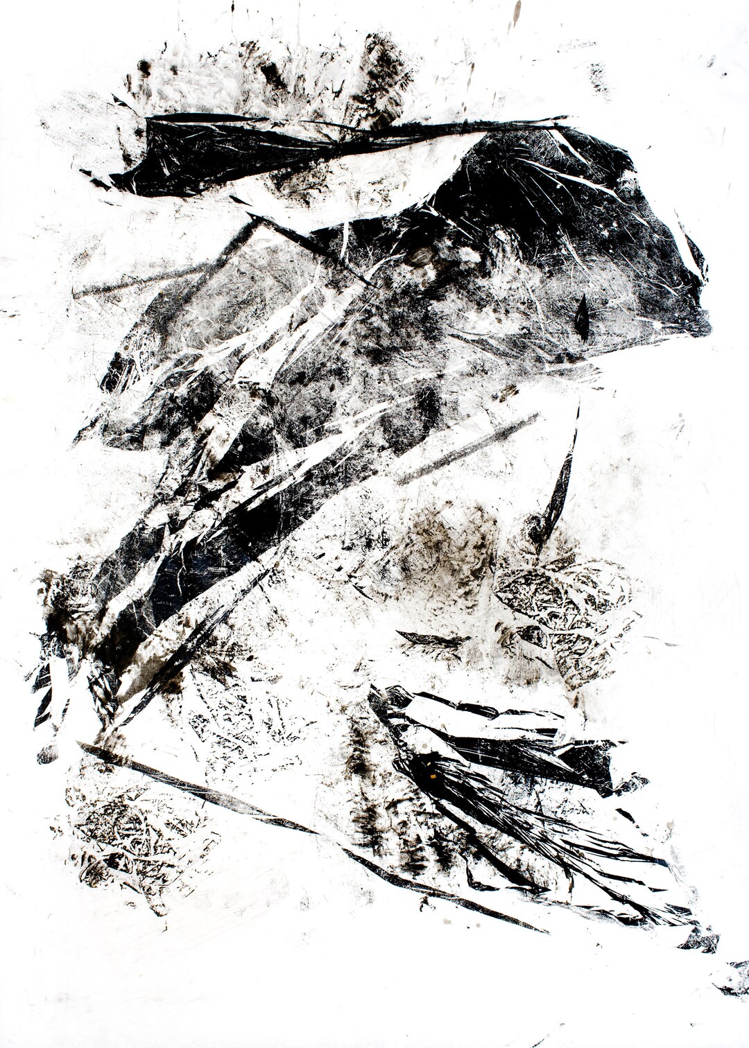 Fine Art Print of Monotype, Abstract Art, Contemporary Art - Etsy