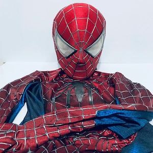 Spider-man Suit Customization. Sam Raimi Spider-man Customized Mask ...