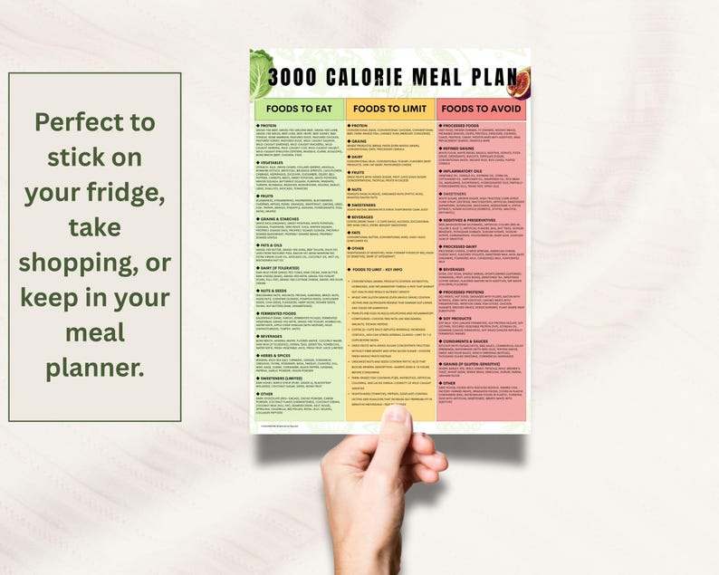 3000 Calorie Food List PDF, Meal Plan 3000 Calories Diet Guide, High ...