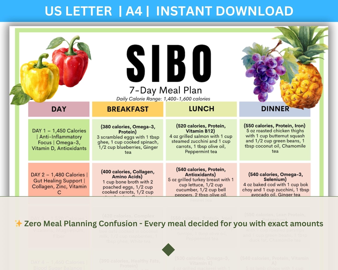 SIBO Meal Plan, 7 Day Gut Healing Menu, SIBO Diet Plan, Anti-bloat ...