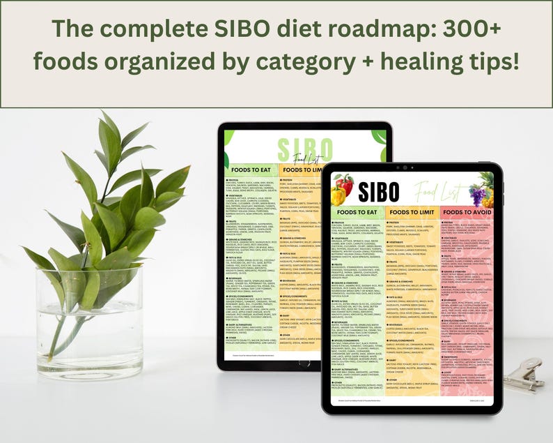 SIBO Food List, Low FODMAP Diet Chart, Foods to Eat Avoid, SIBO Safe ...