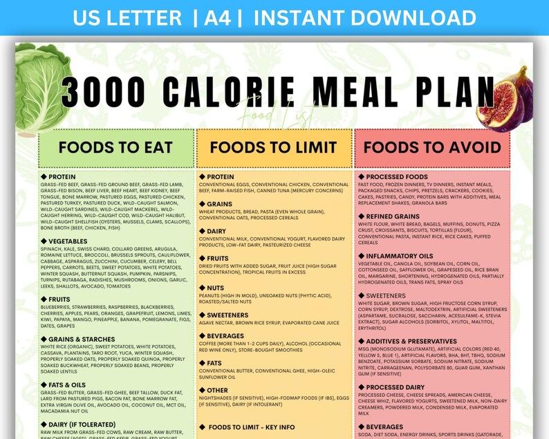 3000 Calorie Food List PDF, Meal Plan 3000 Calories Diet Guide, High ...