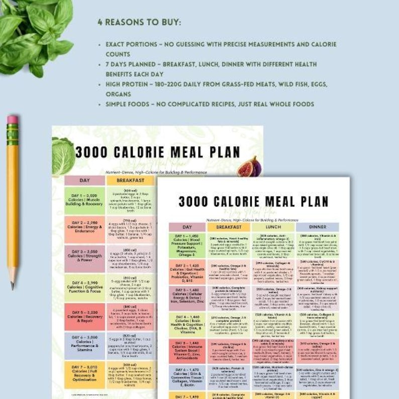3000 Calorie Meal Plan PDF, 7 Day High Protein Menu, Weight Gain Muscle ...