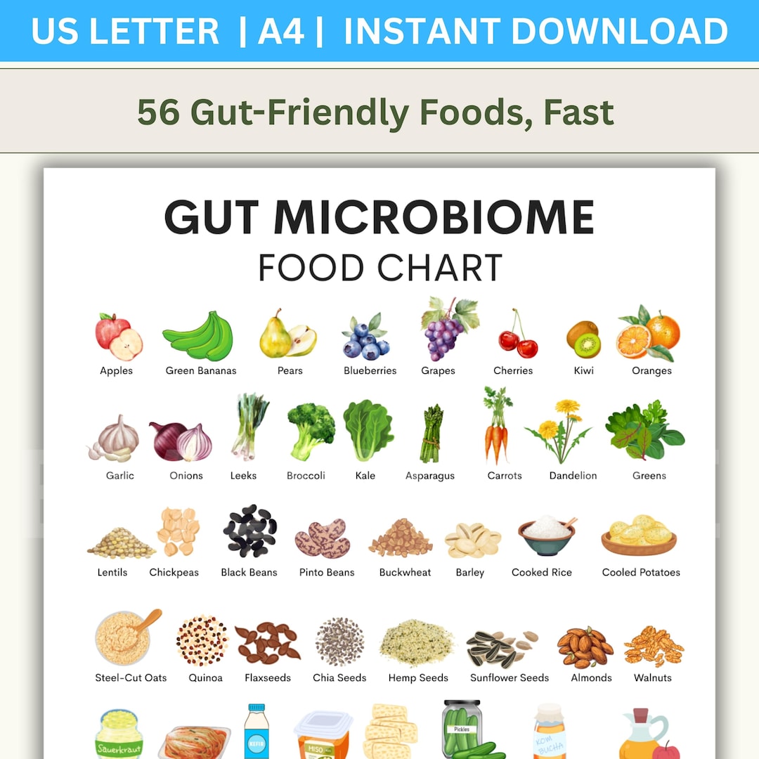Gut Health Food Chart: Prebiotic & Probiotic Foods (instant Download ...