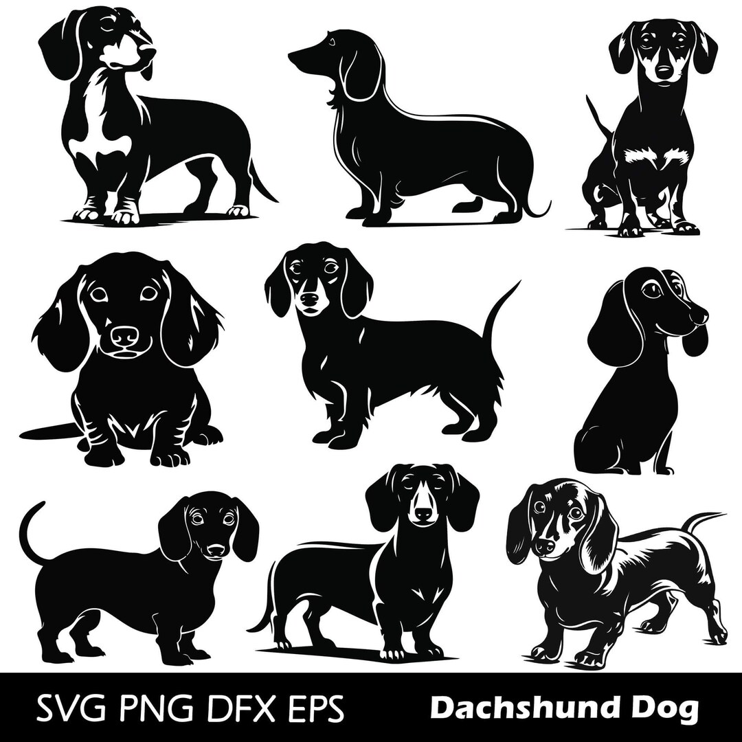 Dachshund Weiner Dog Bundle / Descarga digital uso comercial / svg png ...