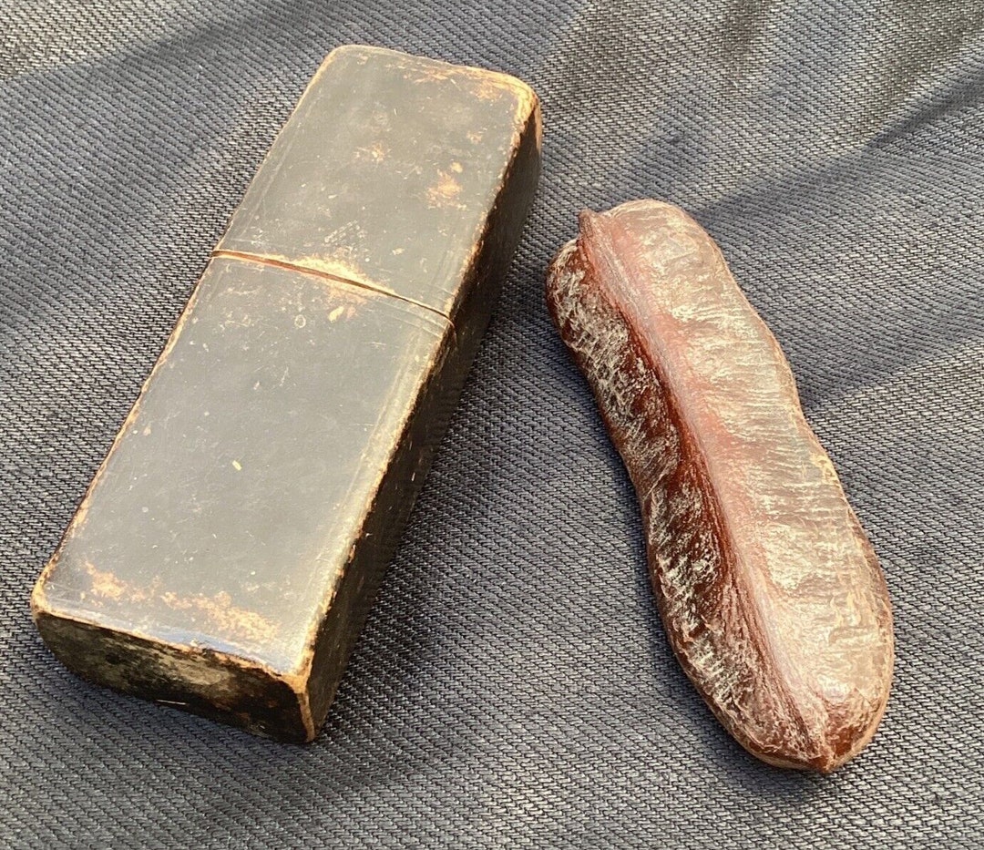 Antique Tetrapleura Tetraptera Seed Pod Rattle Shaker Plus - Etsy UK