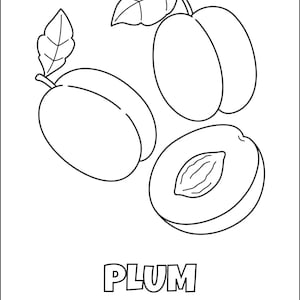 Fruit Coloring 27 Pages. Learning by Coloring Worksheets. - Etsy