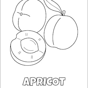 Fruit Coloring 27 Pages. Learning by Coloring Worksheets. - Etsy