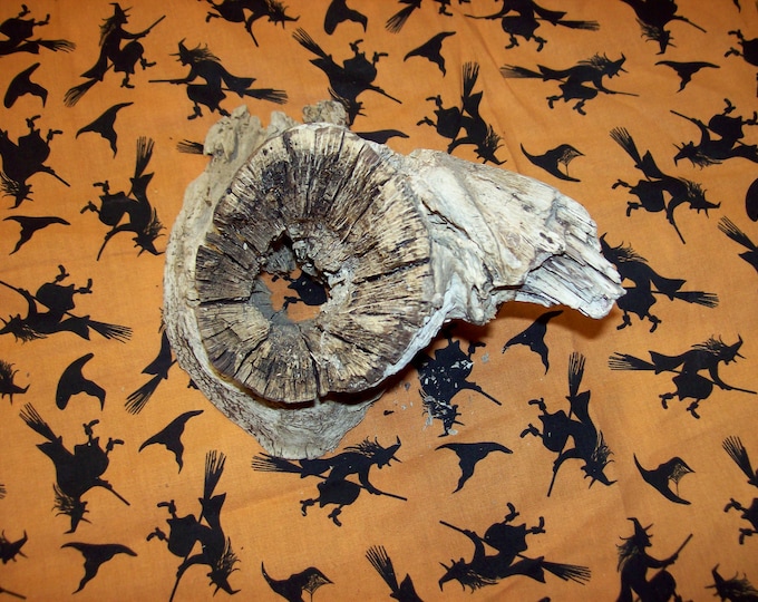 Knot Hole Oak Wood Log Limb - Etsy