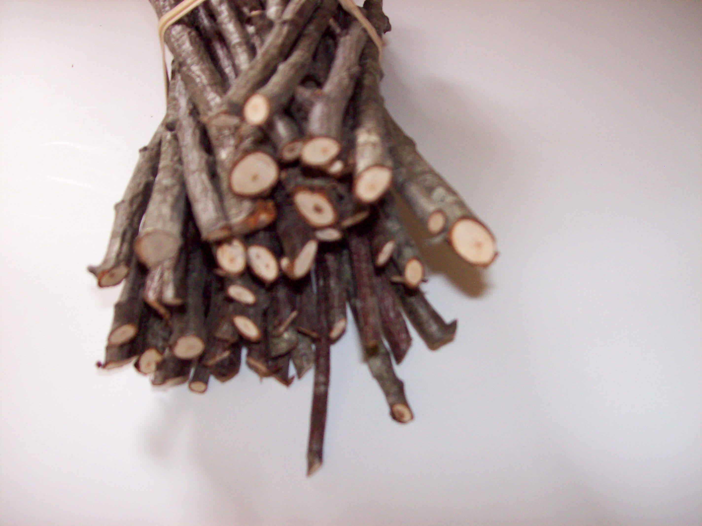 50 Short Thin Art Craft Sticks. Limbs Branches Twigs. 6 to 7 Inches ...