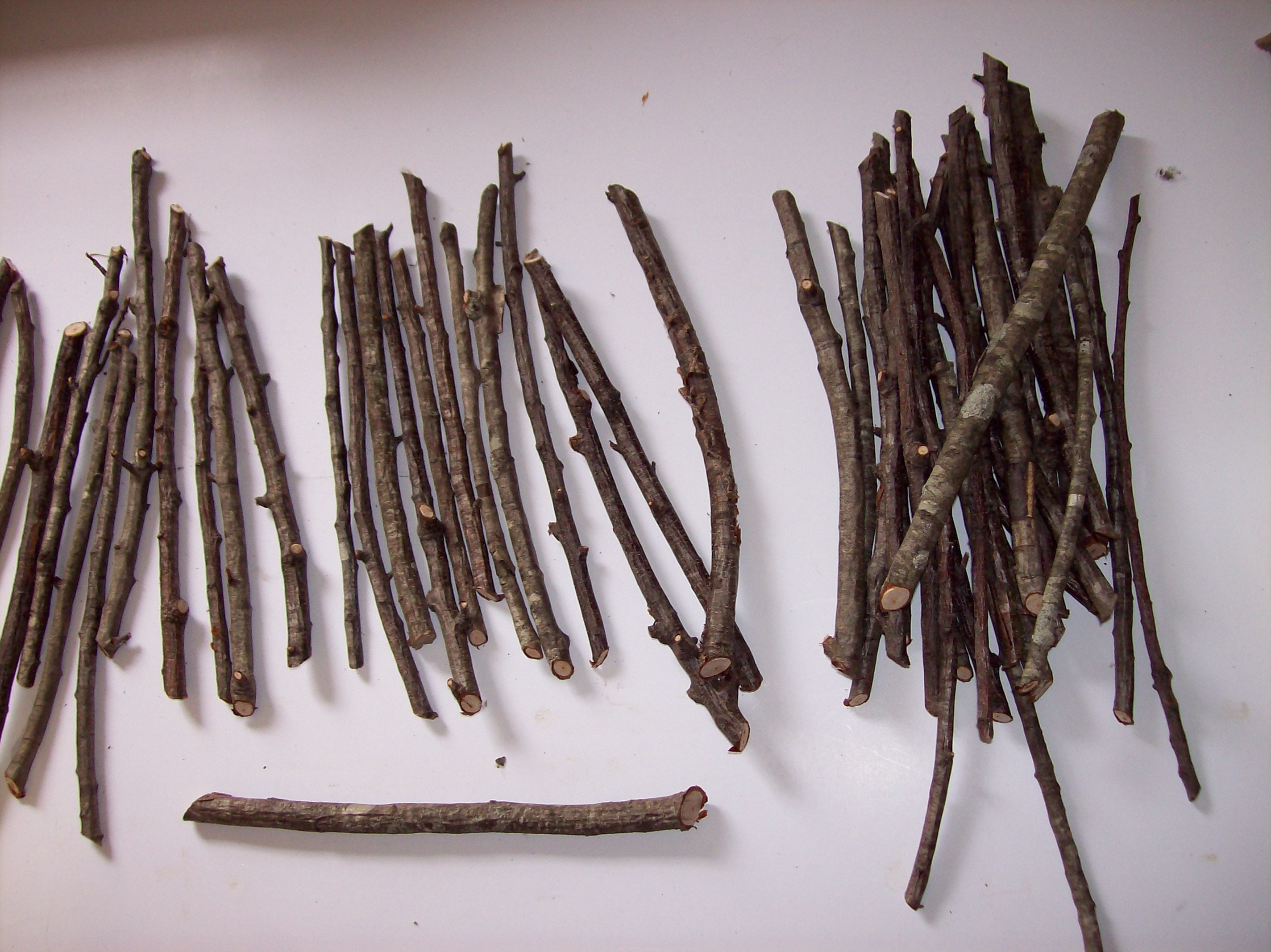 50 Short Thin Art Craft Sticks. Limbs Branches Twigs. 6 to 7 Inches ...