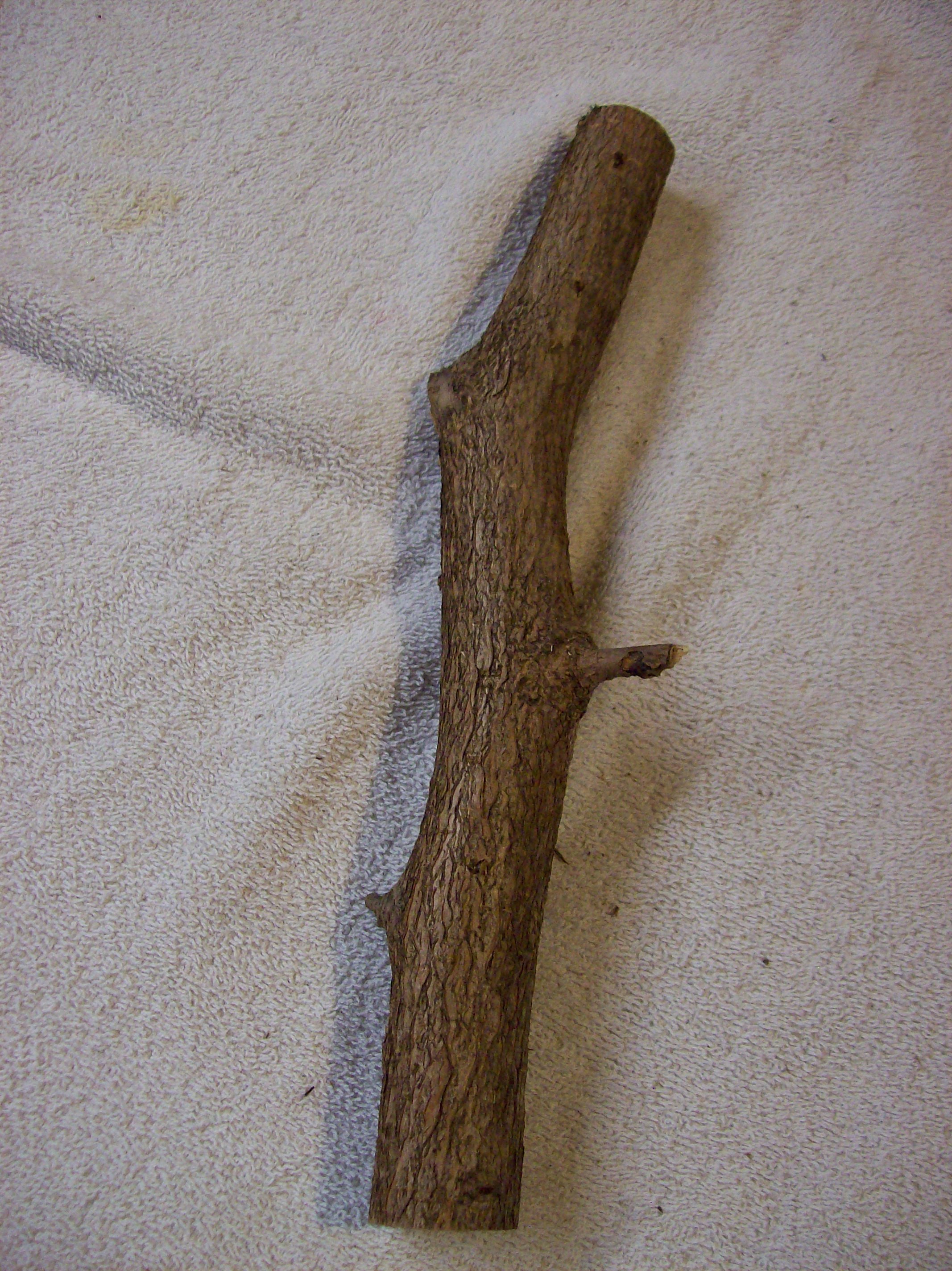 Sassafras Round Wood Carving Sticks Wand Pen Making - Etsy