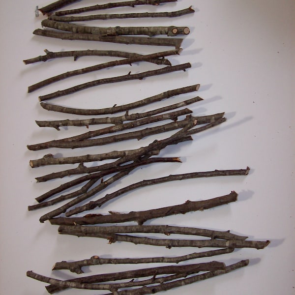 Twig Art - Etsy
