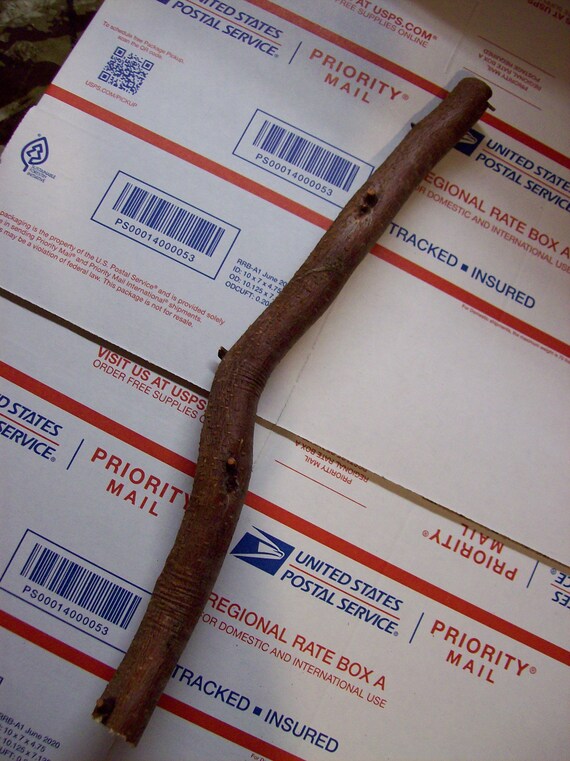 Curved 14 Inch Long Hawthorn Wand Art Craft Carving Wood Stick - Etsy