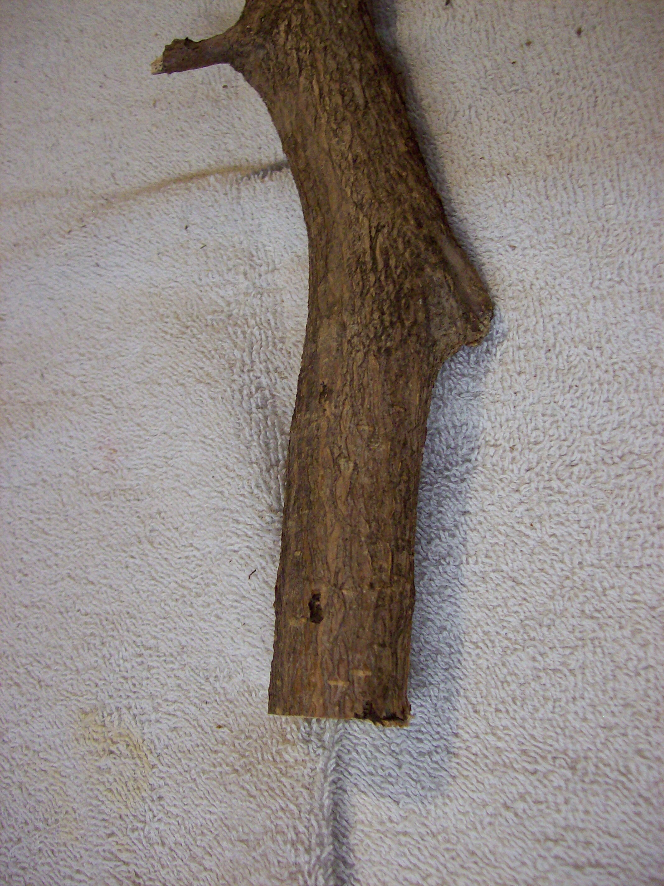 Sassafras Round Wood Carving Sticks Wand Pen Making - Etsy