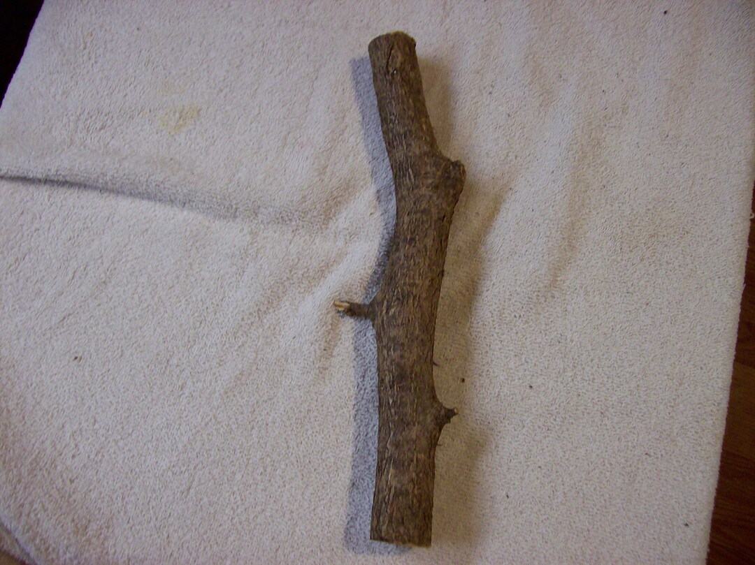 Sassafras Round Wood Carving Sticks Wand Pen Making - Etsy