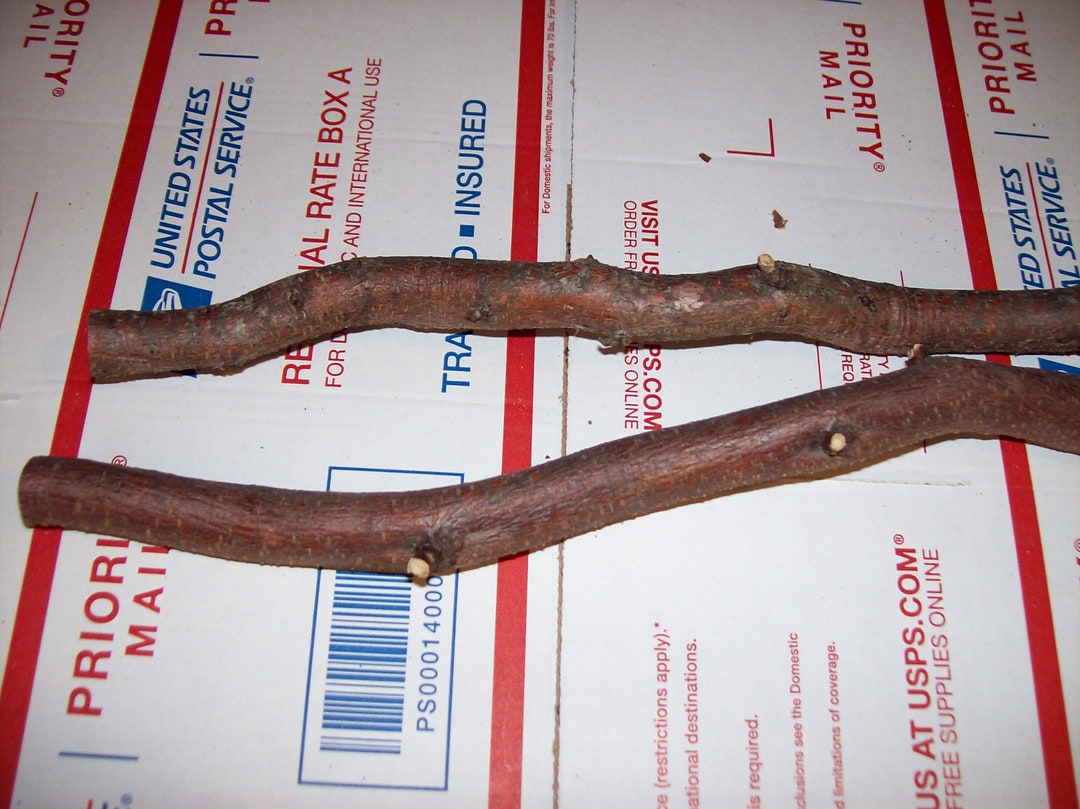 Two 16 Inch Long Hawthorn Wand Art Craft Carving Wood Stick Wand ...