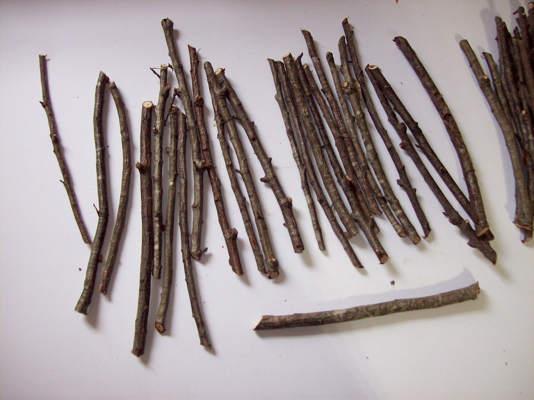 50 Short Thin Art Craft Sticks. Limbs Branches Twigs. 6 to 7 Inches ...