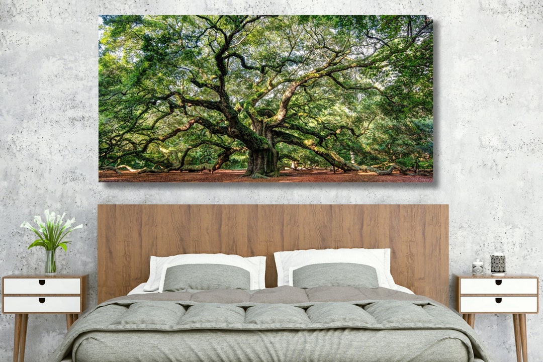 Large Canvas Wall Art Angel Oak Tree Wall Art Canvas Old Tree Print ...
