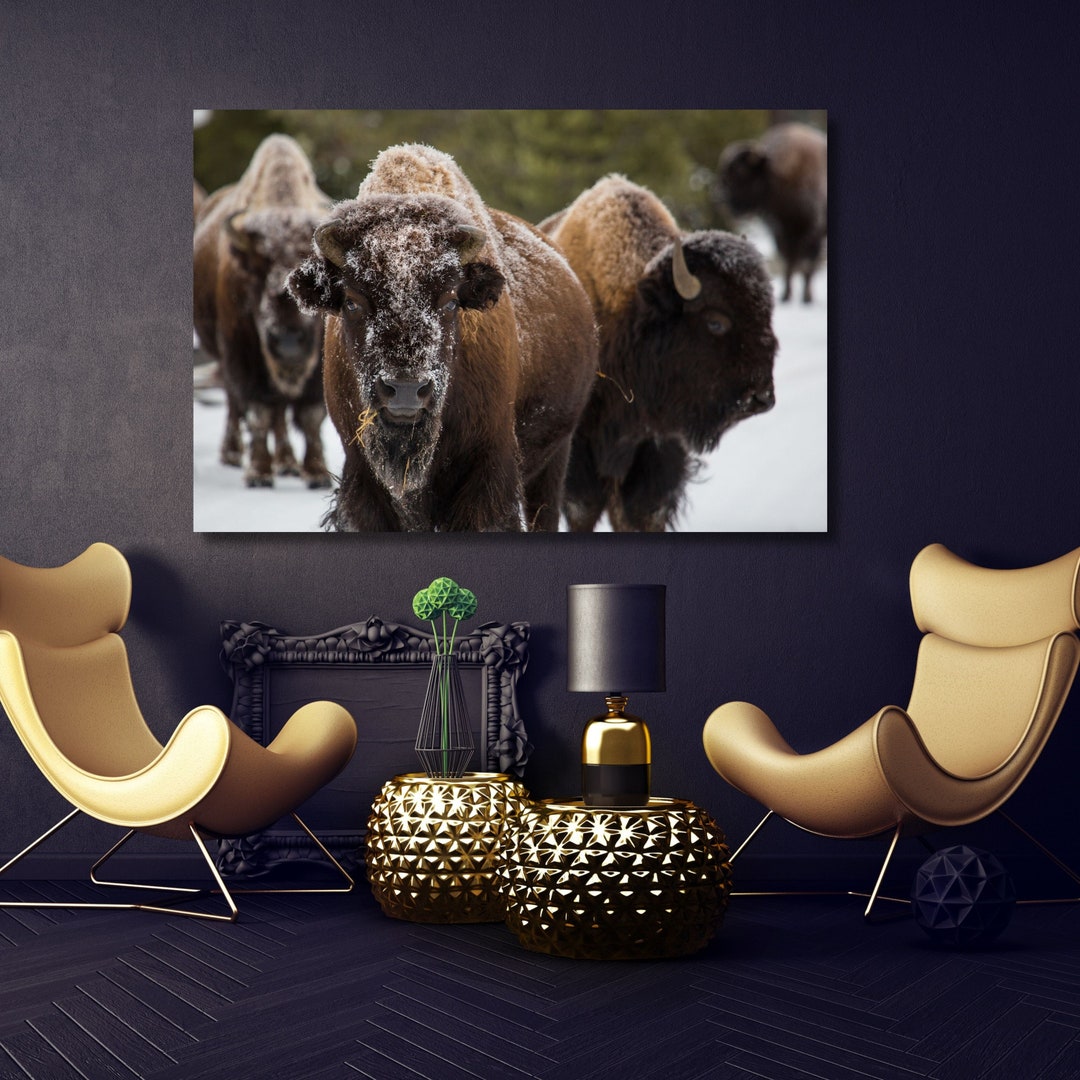 Buffalo Canvas Wall Art Buffalo Wall Decor Buffalo Wall Home Decor ...