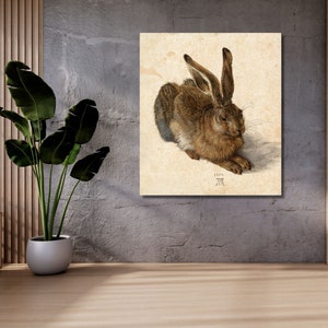 Albrecht Durer-young Hare Rabbit Canvas Wall Art Painting, Vintage ...