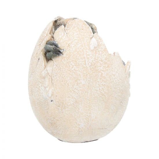 Dinosaur Egg, Hatchling Dinosaur, Raptor in Egg, Replica Dinosaur Skull ...