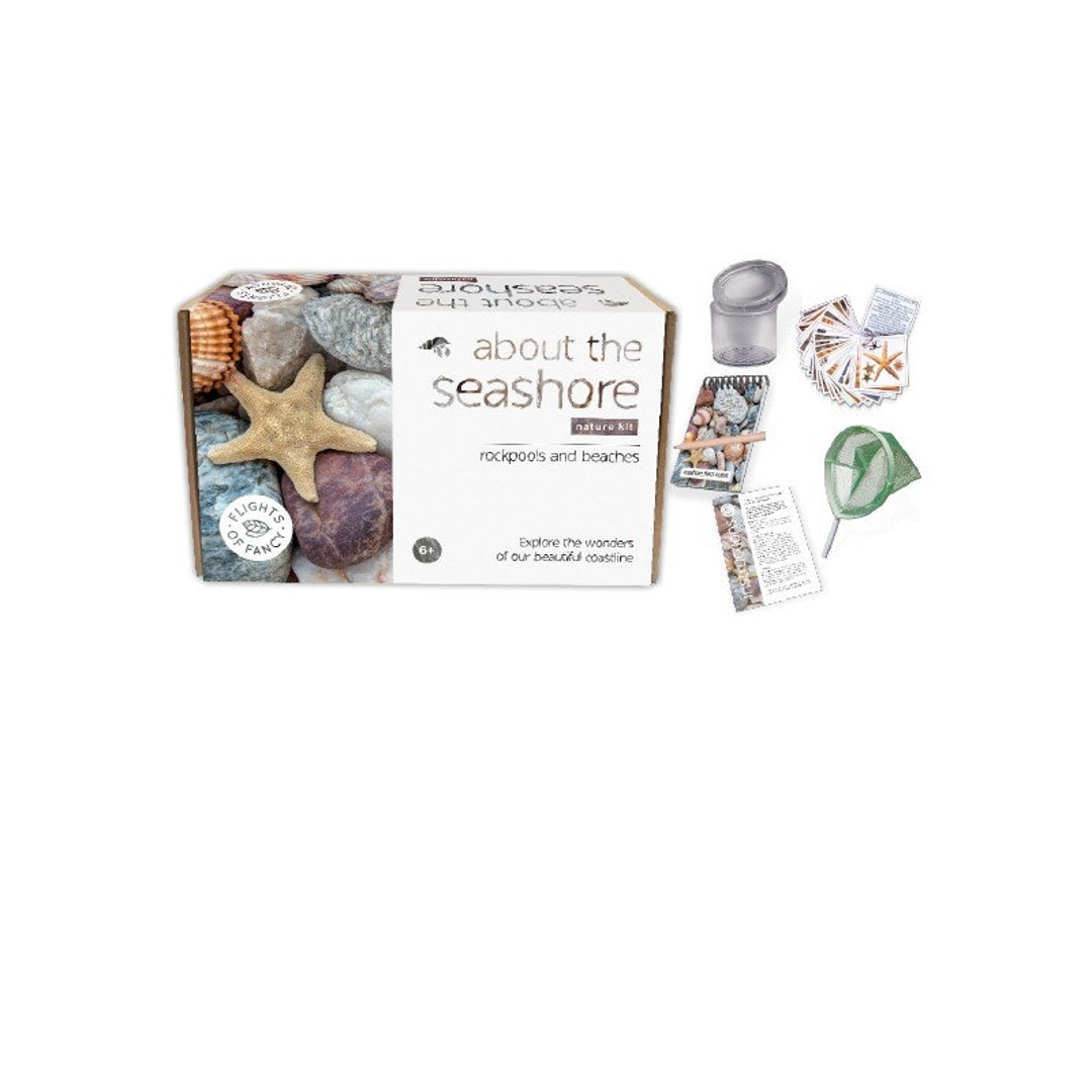 Seashore Nature Kit, Rockpool Kit, Beach Kit - Etsy