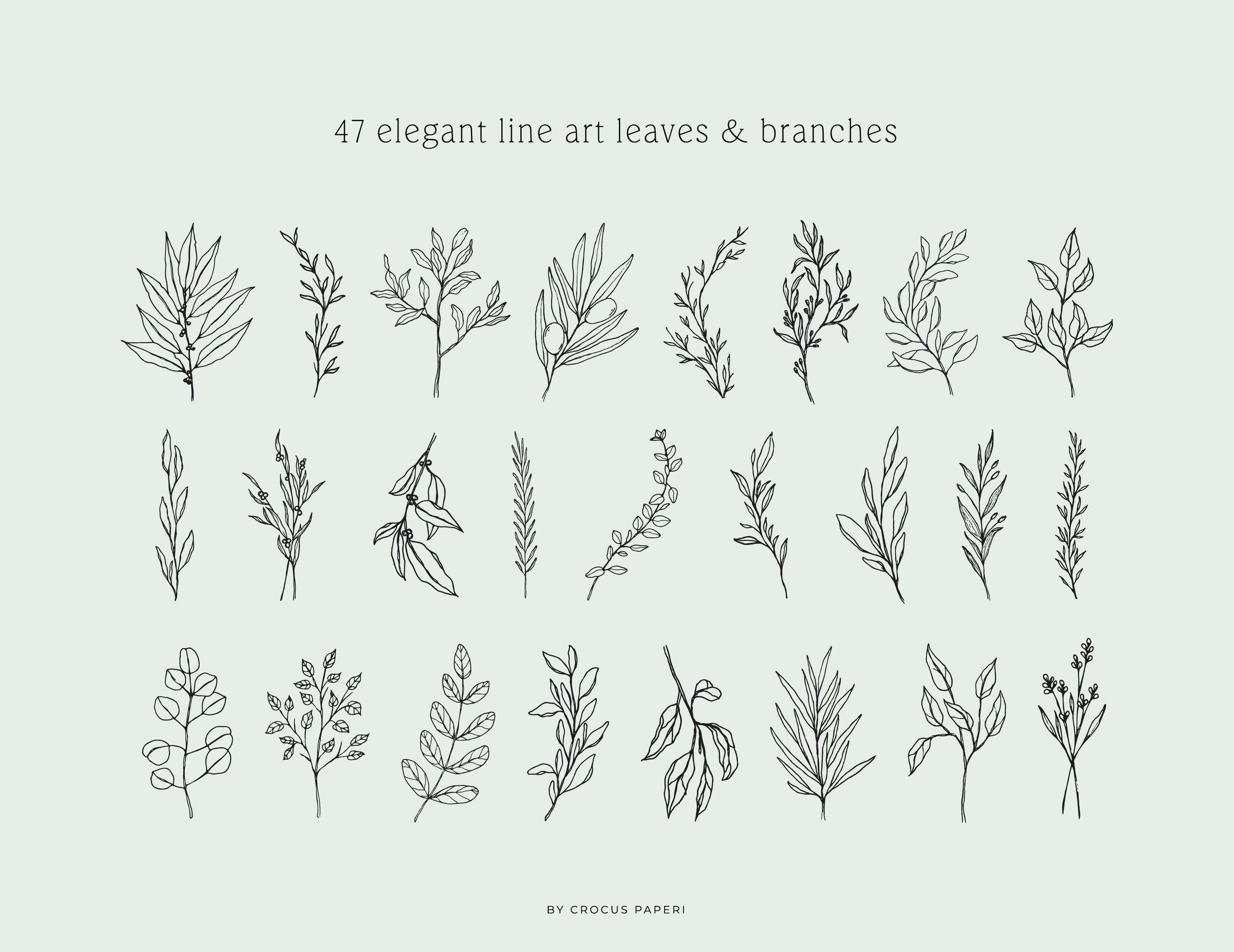 BOTANICALS | Hand-drawn Line Art Botanical Illustrations, Line Art ...