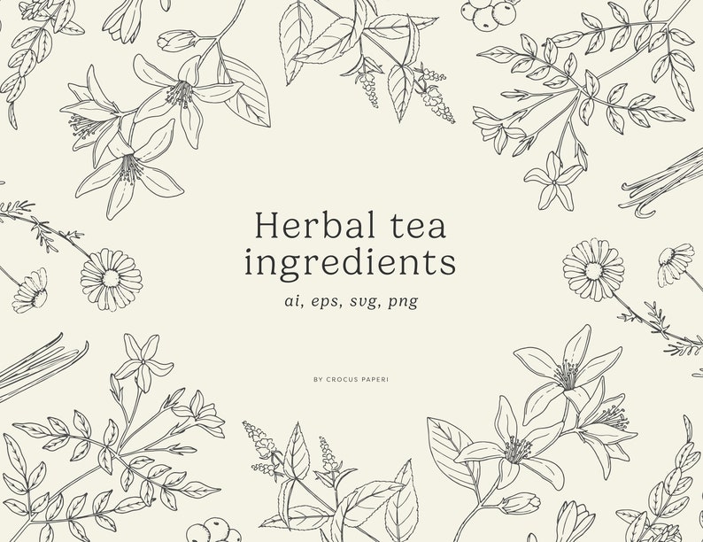 HERBAL TEA & INFUSIONS | Hand-drawn Line Art Botanical Illustrations ...