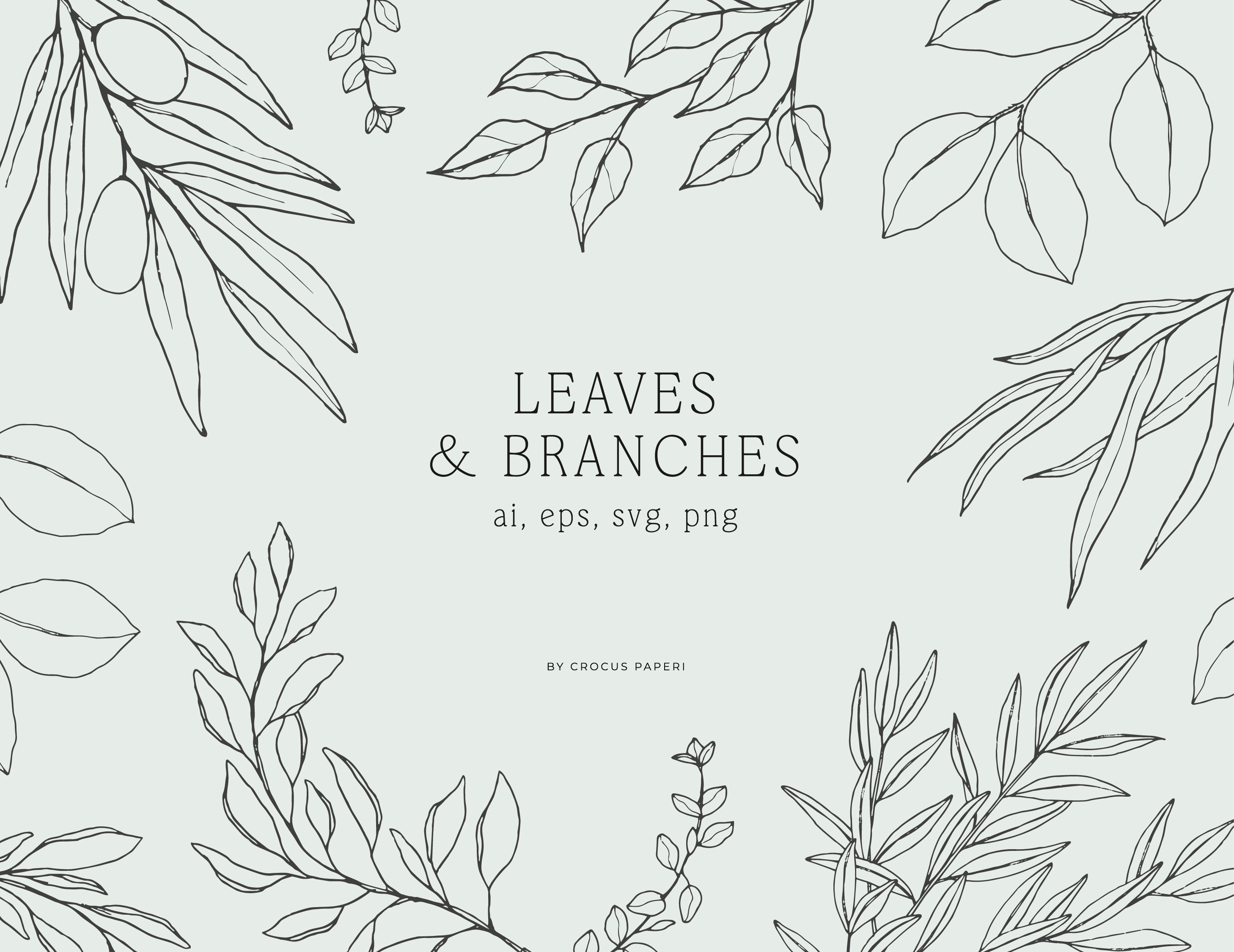 BOTANICALS | Hand-drawn Line Art Botanical Illustrations, Line Art ...