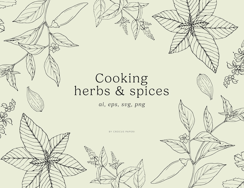 COOKING HERBS | Hand-drawn Line Art Plants Illustrations, Culinary ...