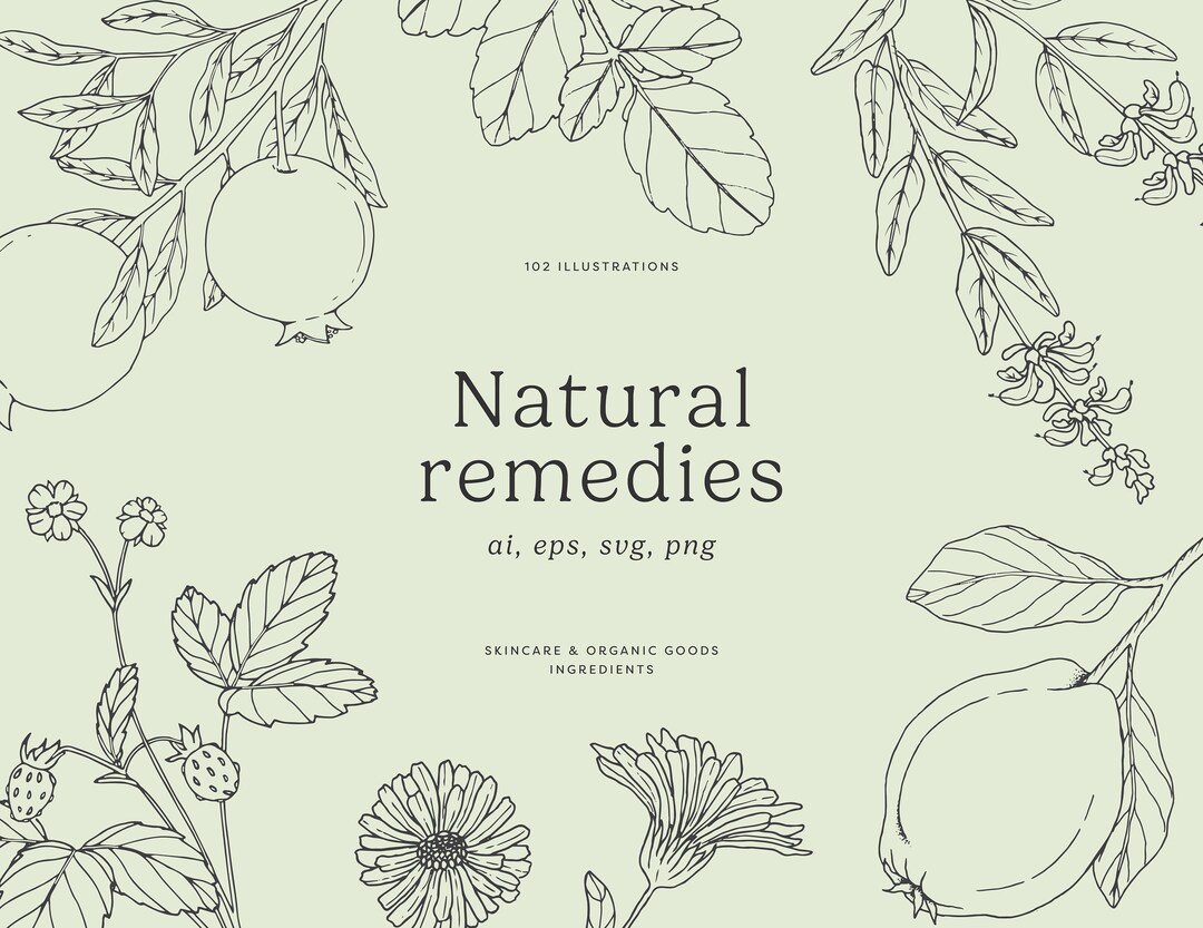 Hand-drawn Natural Remedies Clipart: Skincare & Healing Herbs (PNG, SVG ...