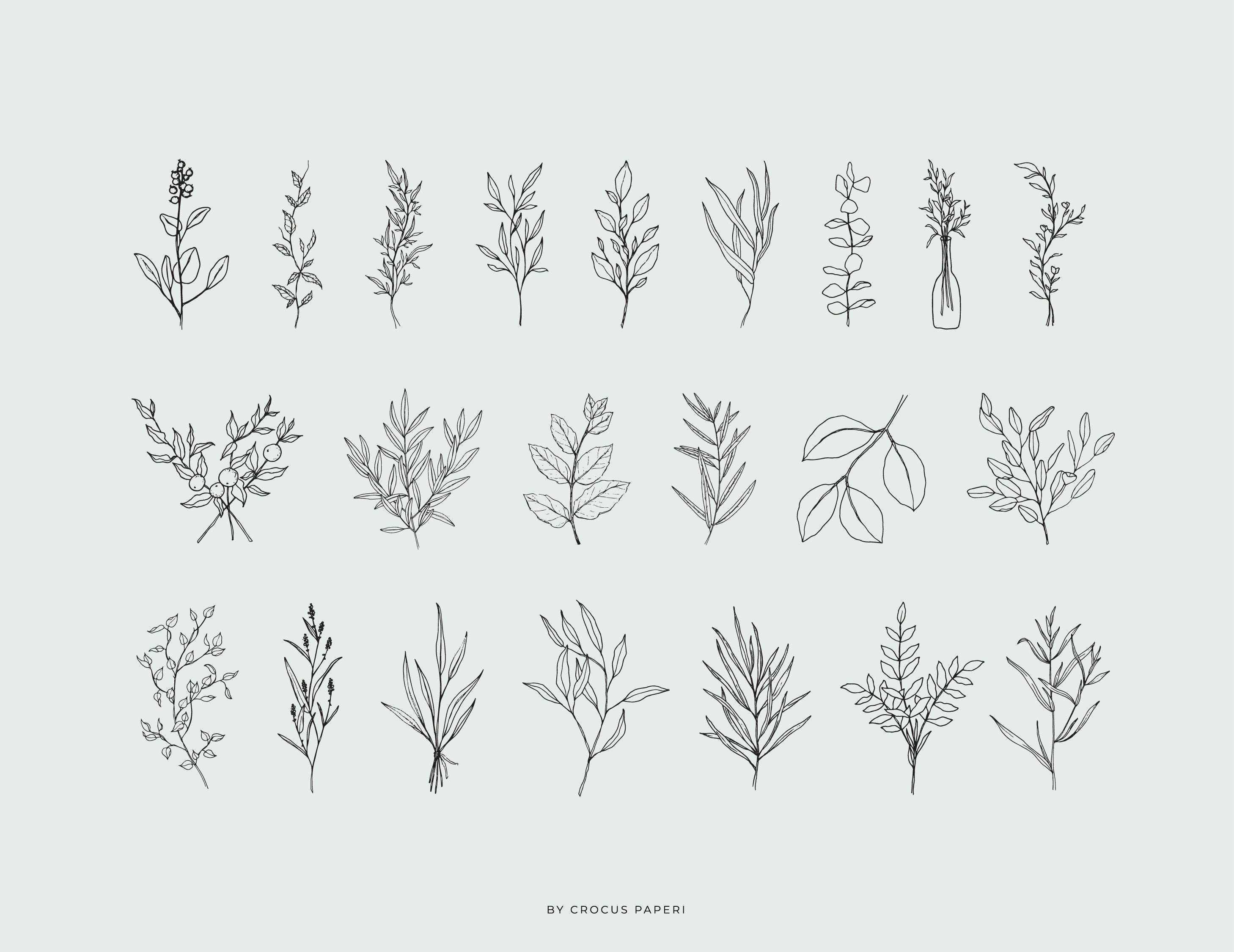 Hand-drawn Botanical Line Art: Leaves & Branches Clipart (PNG, SVG) - Etsy