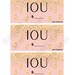 IOU Slips | Fully Funded Slips | Pink Dashboards | Cash Budgeting - Etsy