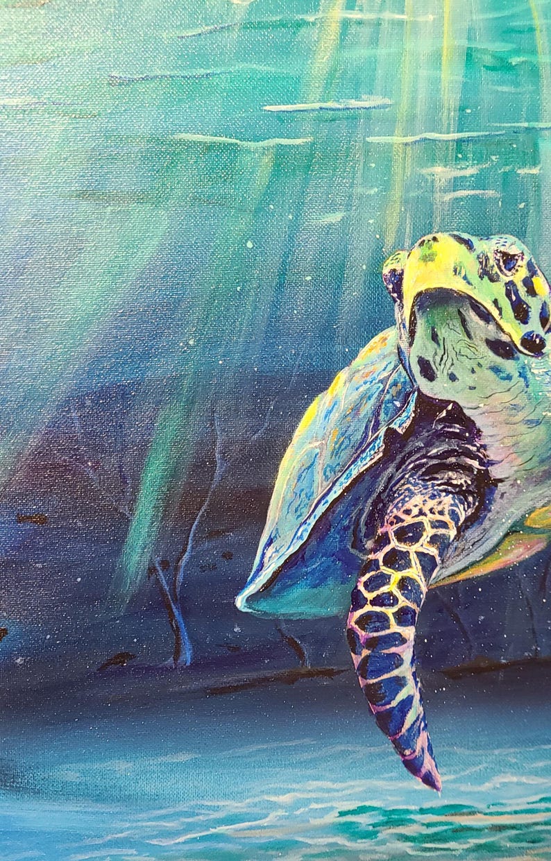 Sea Turtle Art - Etsy