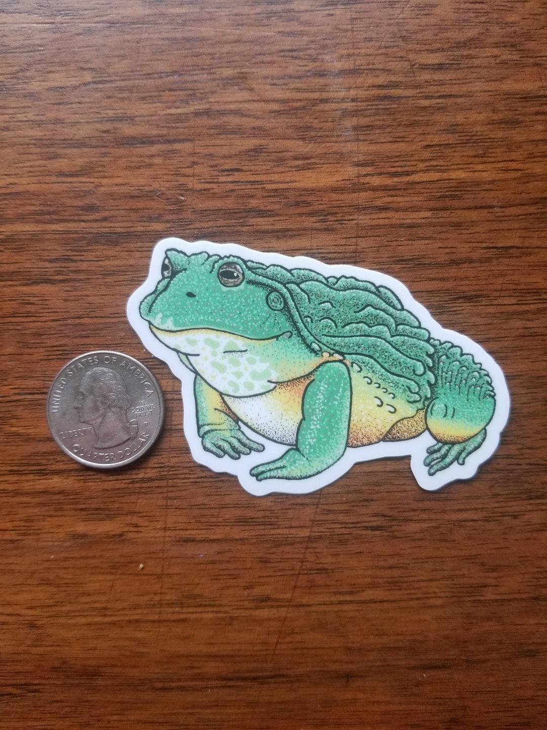 Pixie Frog Sticker African Bullfrog Amphibian Pet Hand Drawn 3INCH Free ...
