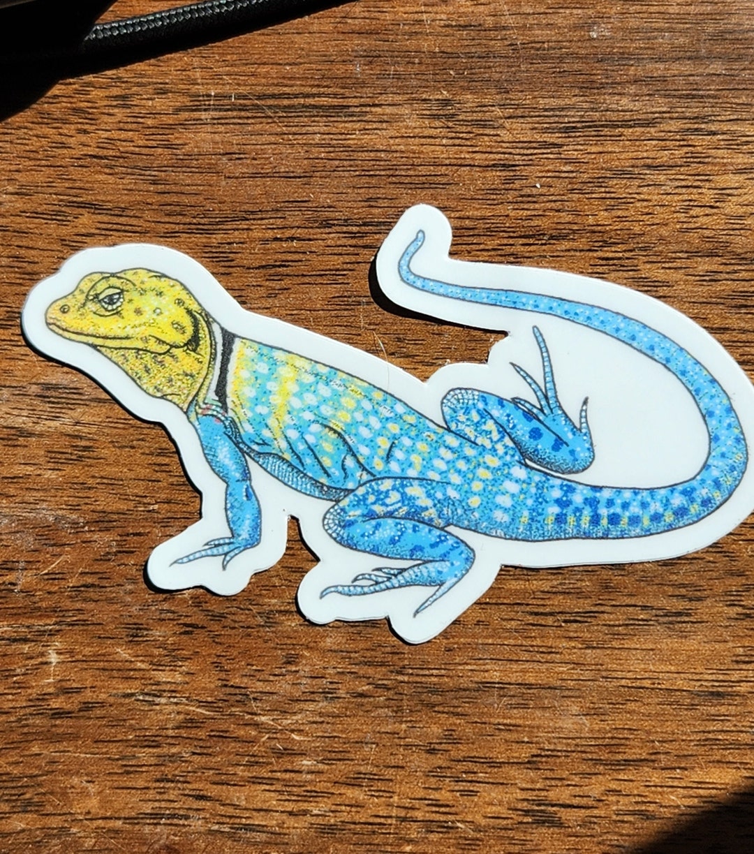 Eastern Collared Lizard Sticker ~~ Crotaphytus Collaris ~~ Reptile ...