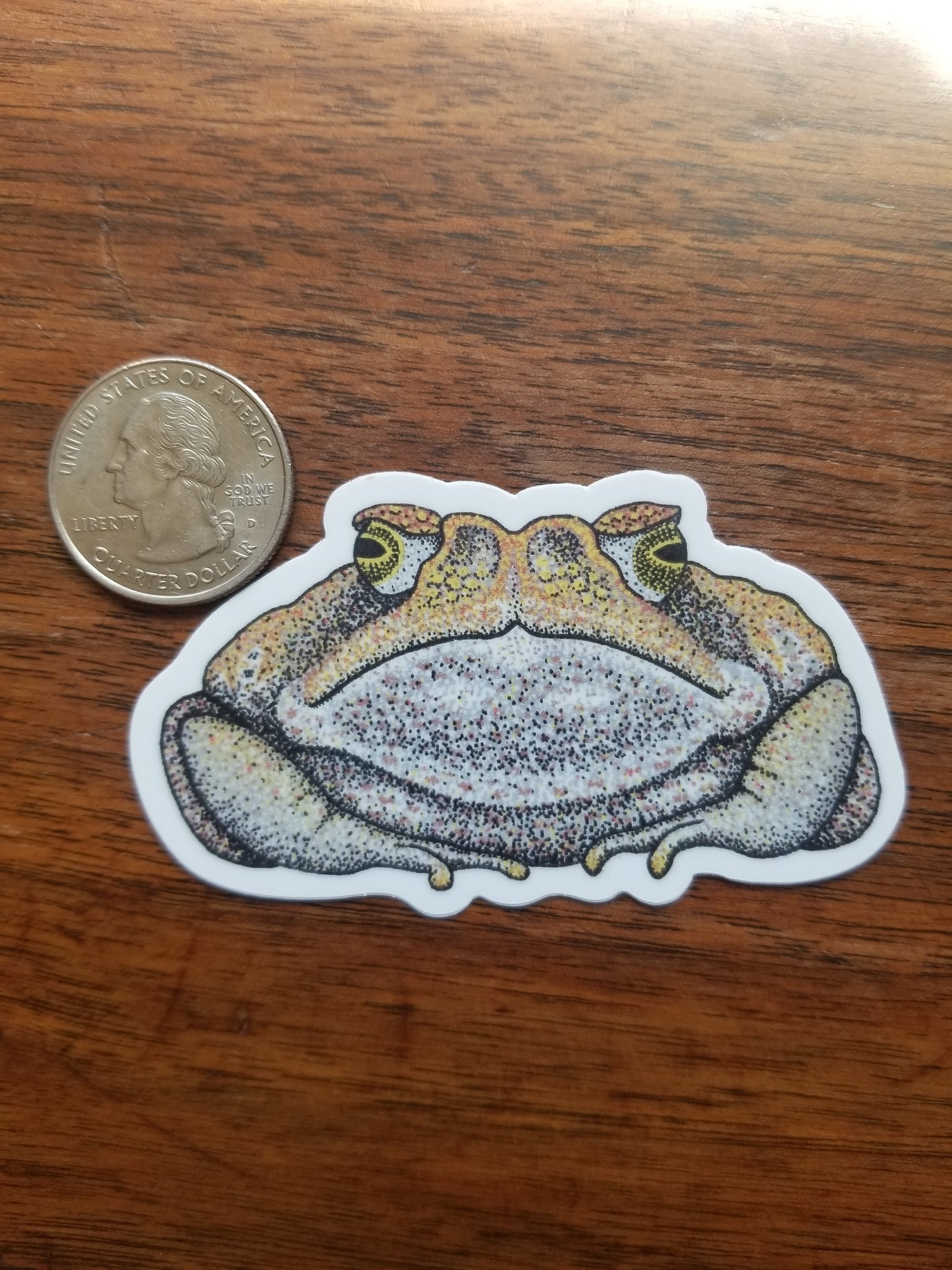 American Toad Vinyl Sticker Grumpy Toad Amphibian - Etsy