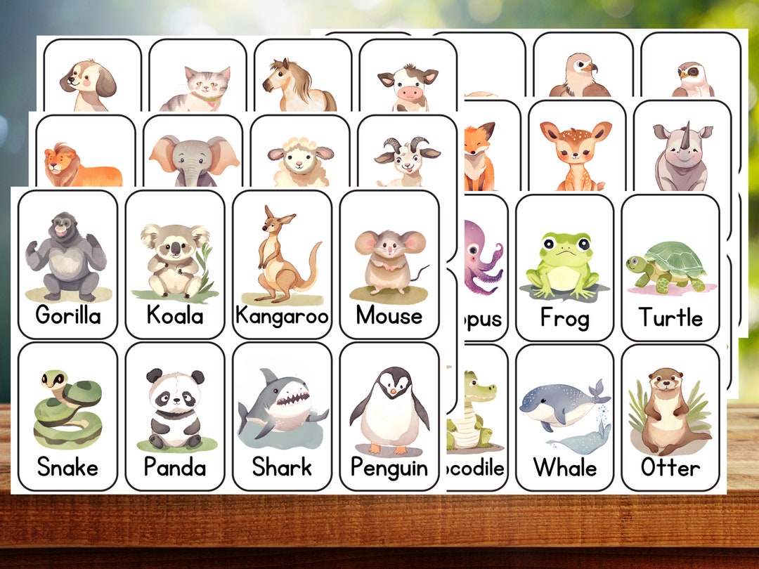 Cute Animal Flashcards for Kids! - Etsy
