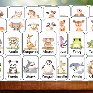 Cute Animal Flashcards for Kids! - Etsy