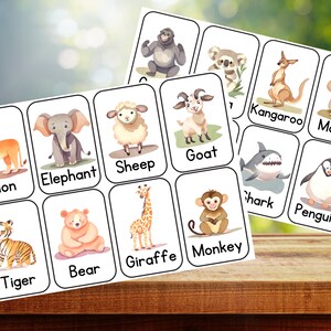 Cute Animal Flashcards for Kids! - Etsy