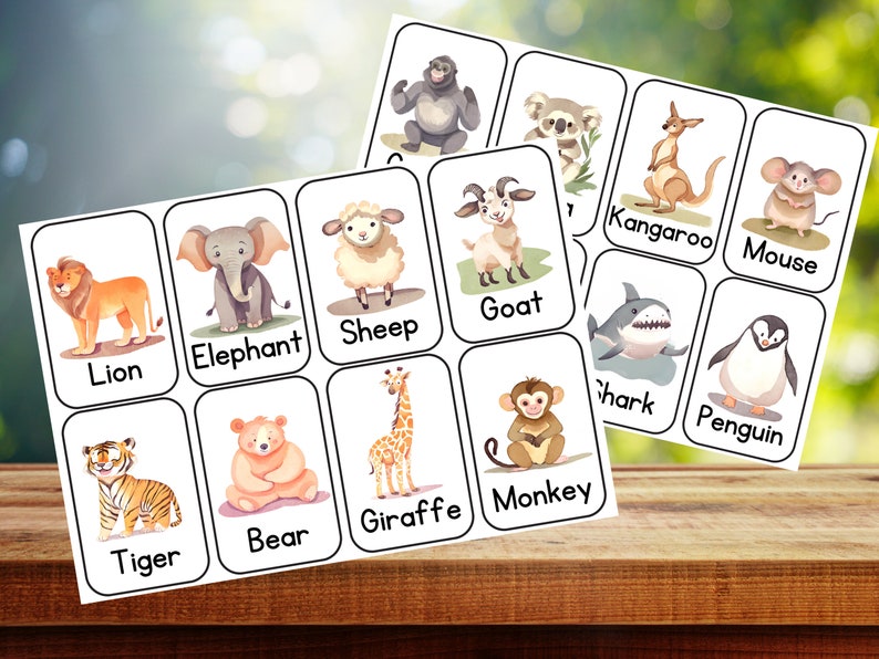 Cute Animal Flashcards for Kids! - Etsy