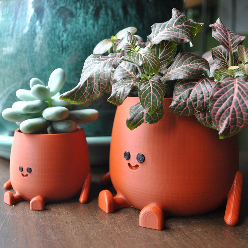 Face Plant Pot - Etsy