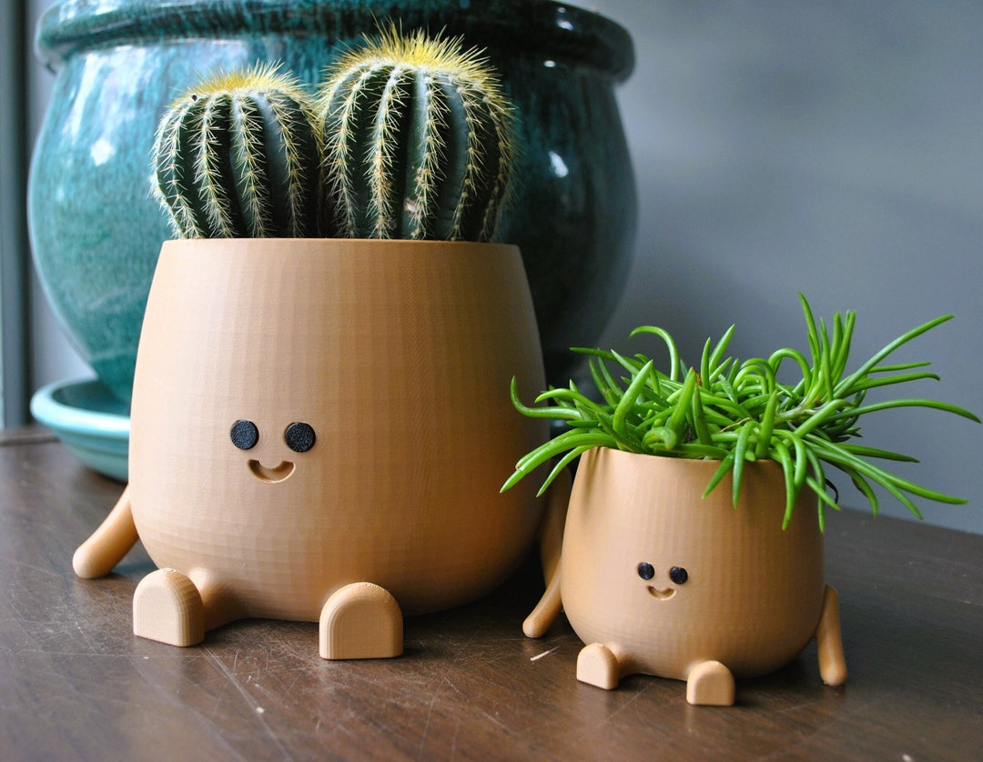 Happy Cute Face Plant Pot – Unique Brown Head Planter for Indoor House ...