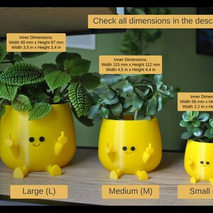 Middle Finger Plant Pot: Yellow Indoor 3D Printed Planter - Etsy