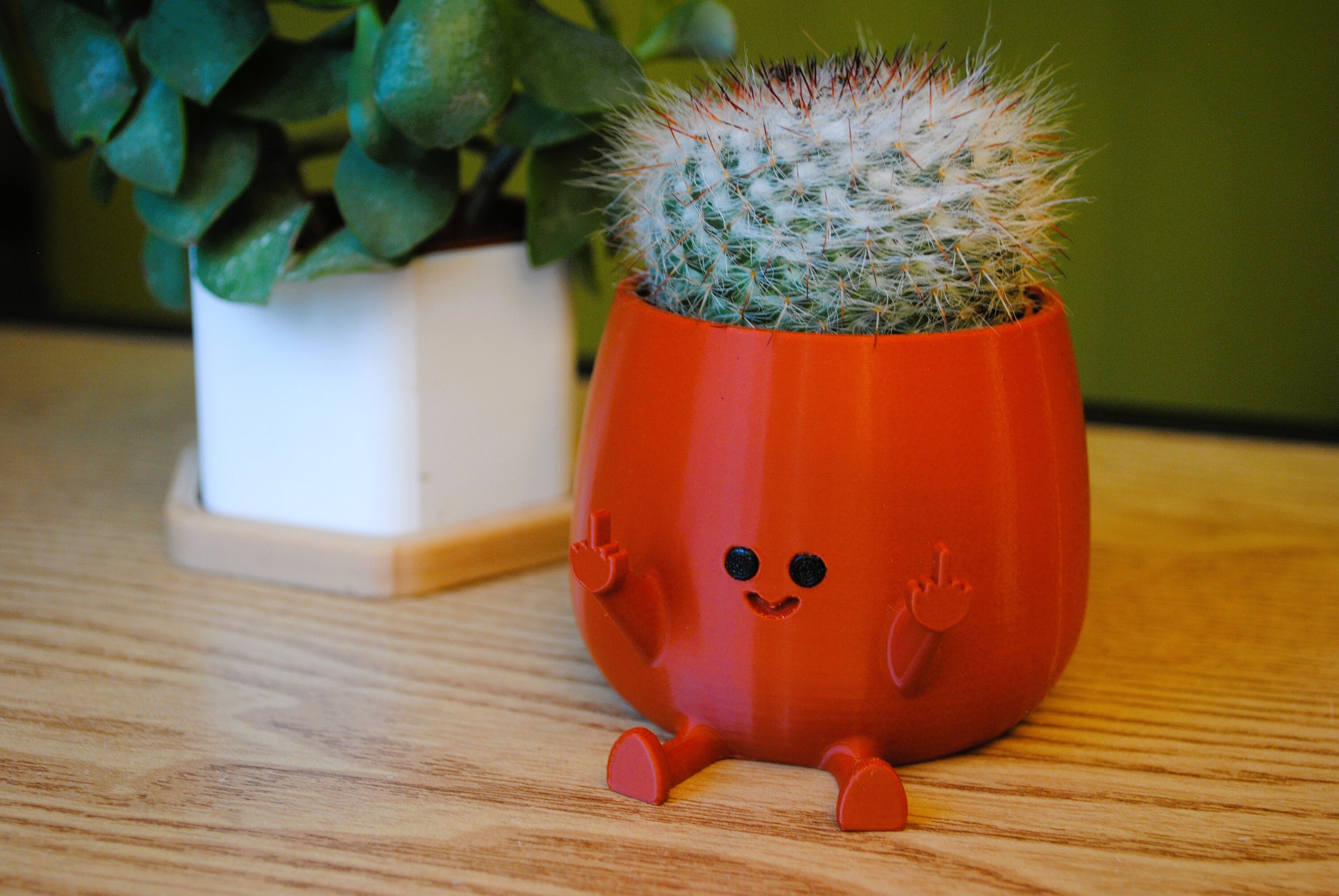 Happy Middle Finger Planter Kawaii Planter,planter Cute Face,succulent ...
